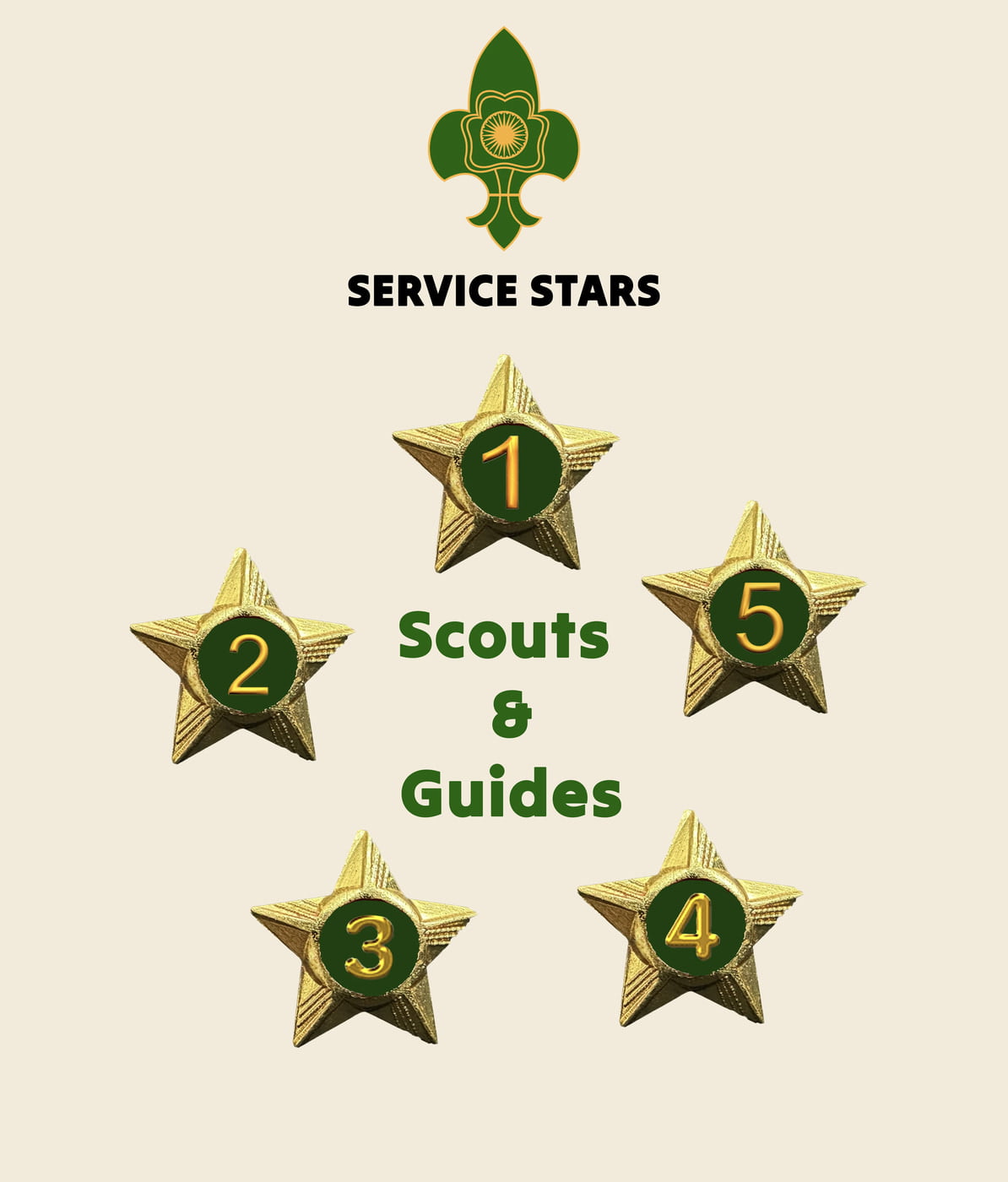 Scouts / Guides Service Stars Pins - 2 Year