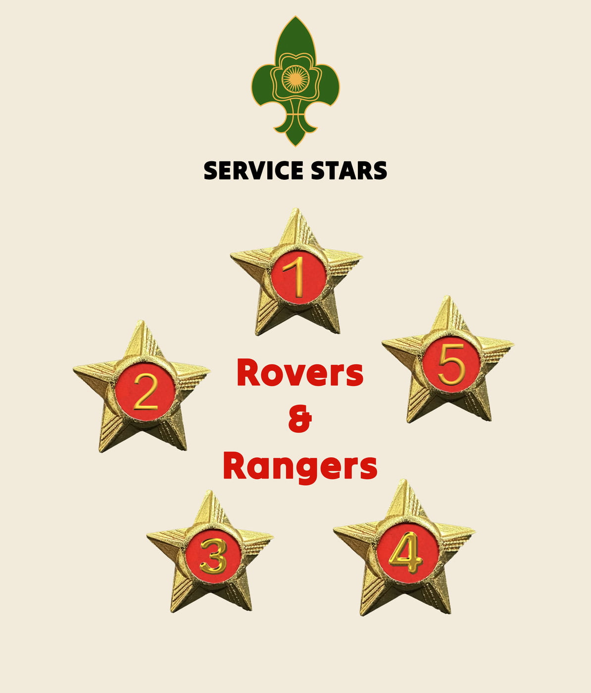 Rovers / Rangers Service Stars Pins - 2 Year